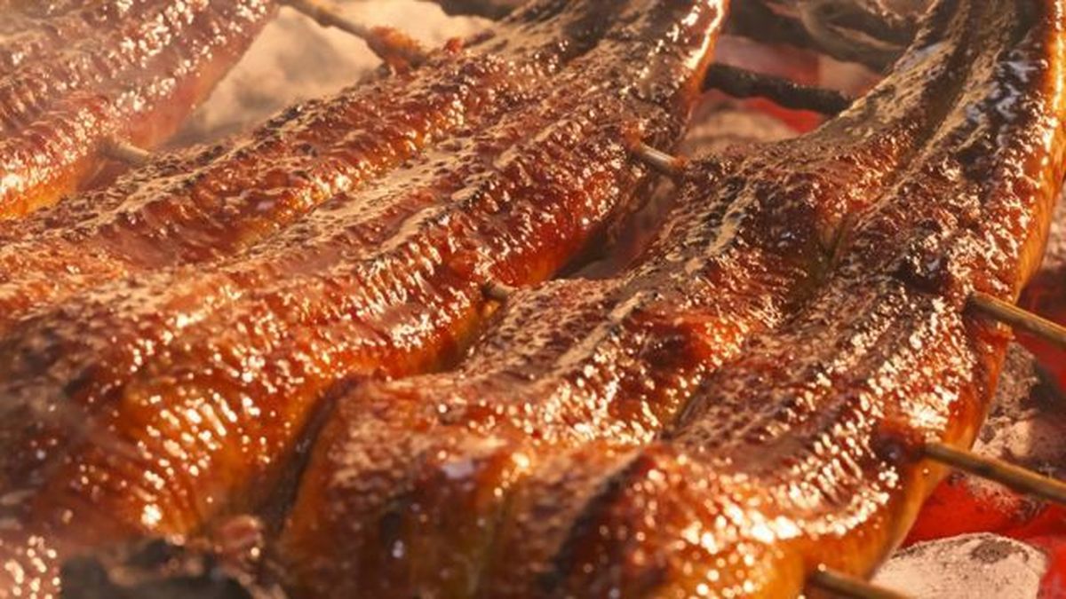 京道とよおか - Restaurant Guide - TableCheck