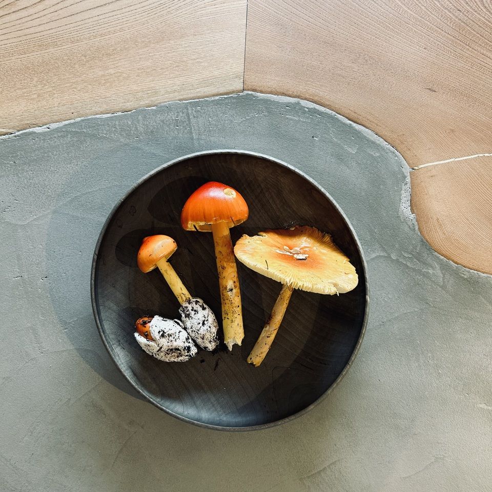 MANO - Restaurant Guide - TableCheck