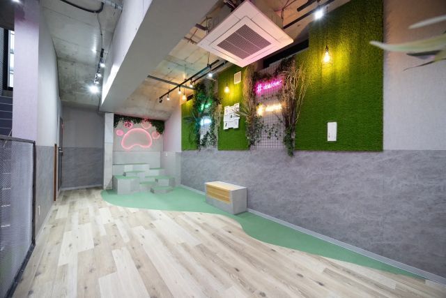 HUSKY CAFE TOKYO（ハスキーカフェ東京） - Restaurant Guide - TableCheck