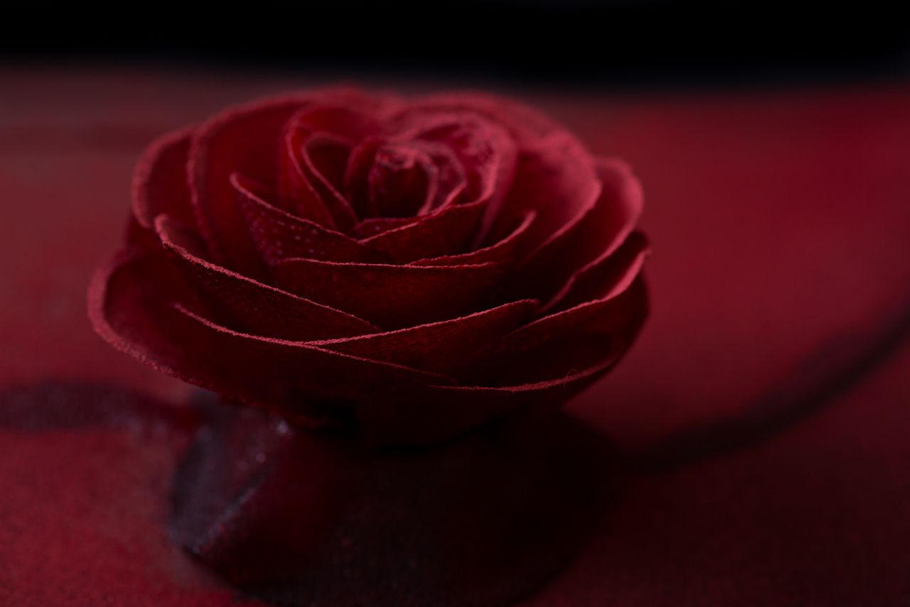 le sputnik - Restaurant Guide - TableCheck